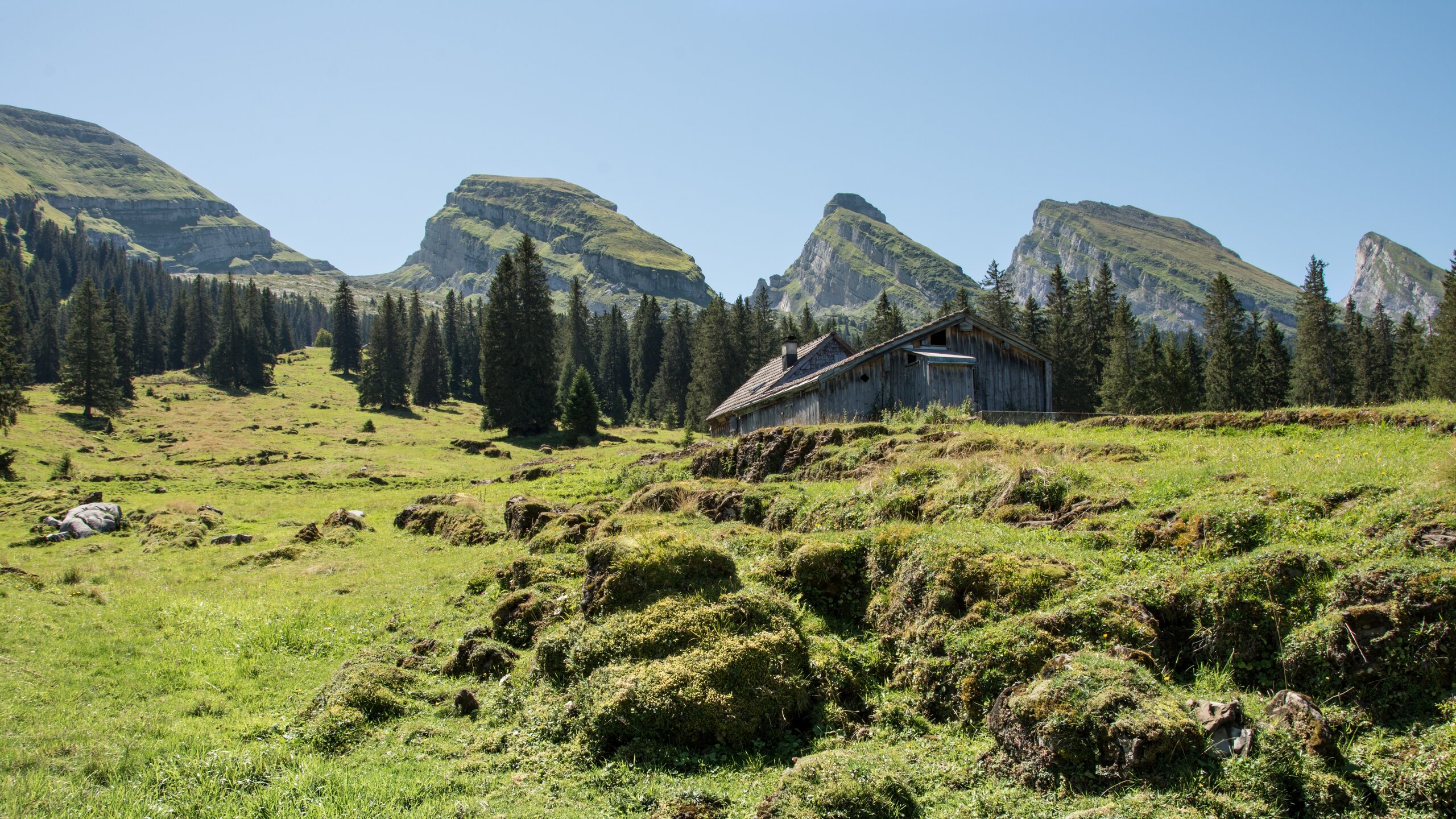 Churfirsten Panorama | Wandern auf der Alp Sellamatt